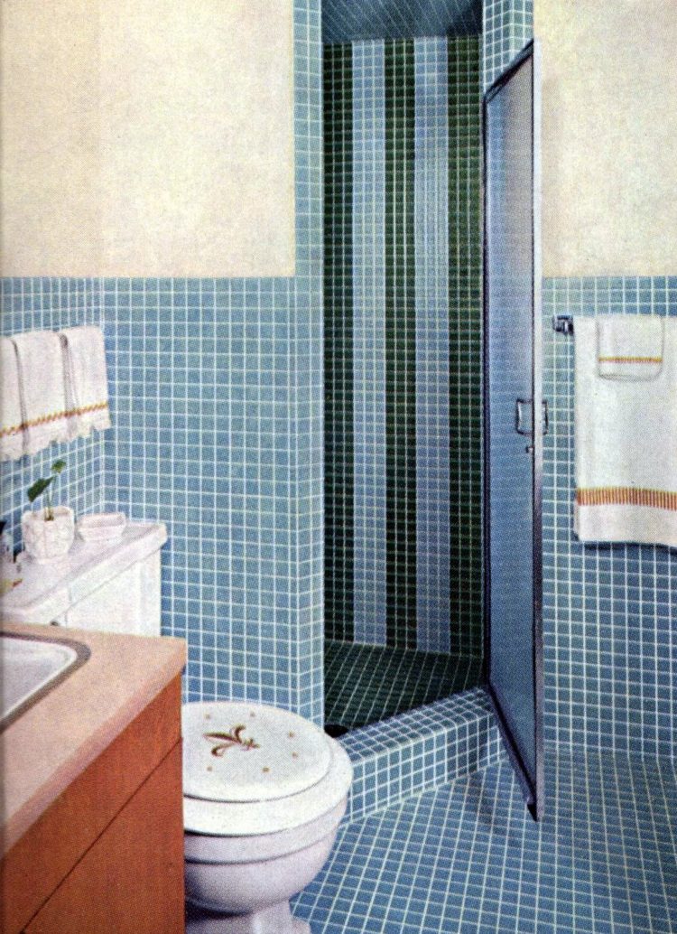 50 vintage 1960s bathroom tile design ideas - Click Americana