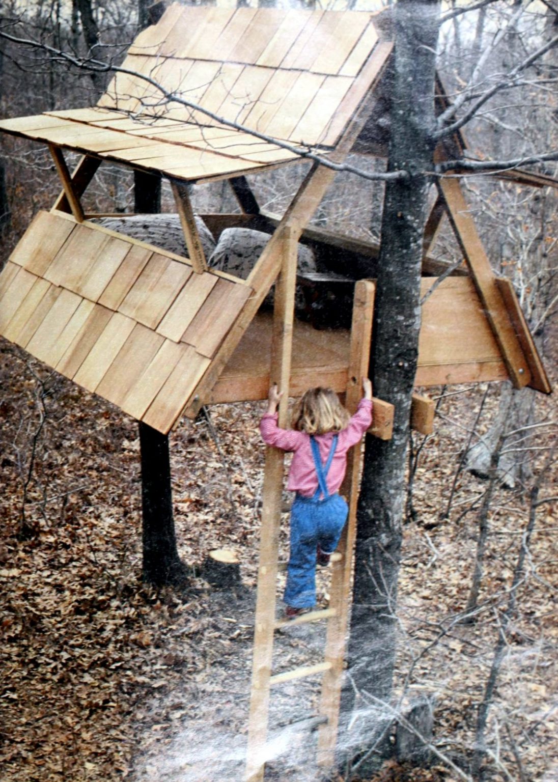 Old-fashioned treehouses: See 20 fun forts built up in the branches ...