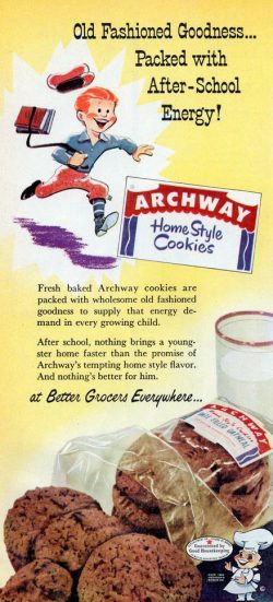 The old-school packaged cookies we grew up with: Hydrox, Fig Newtons ...