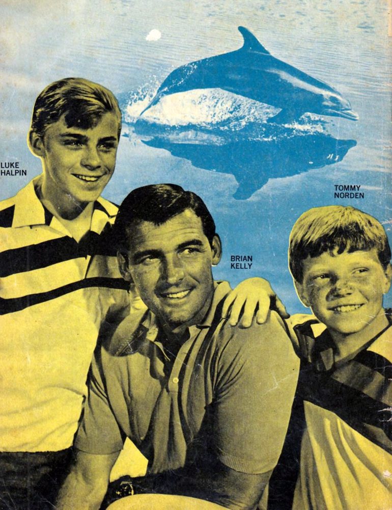 Flipper the dolphin: Look back at the 1960s TV show & movie - Click ...