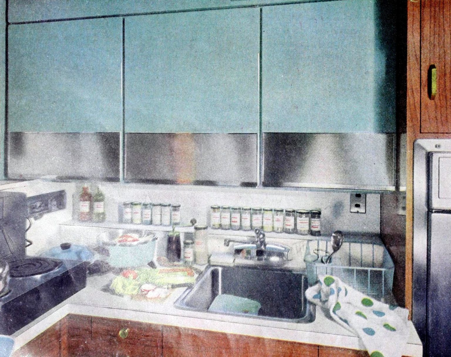 Forget kitchen cabinets - install a wall-mounted refrigerator! (Yes ...