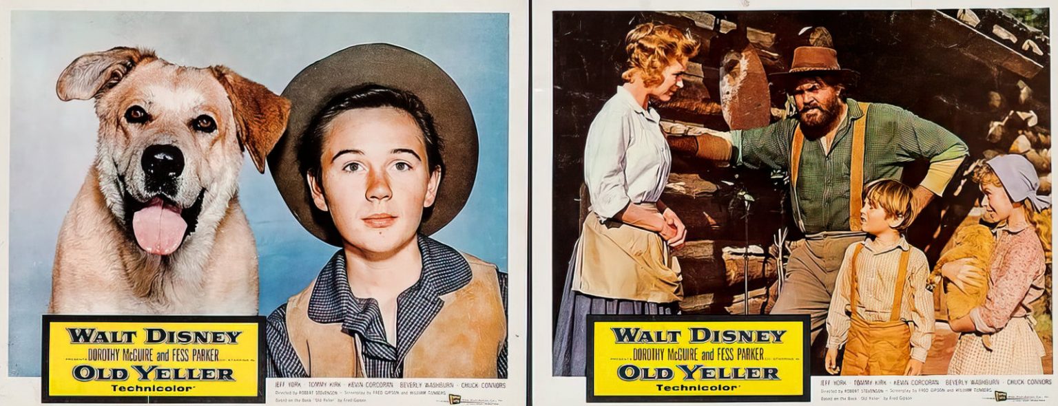 Old Yeller movie memories: The powerful Disney dog story that made ...