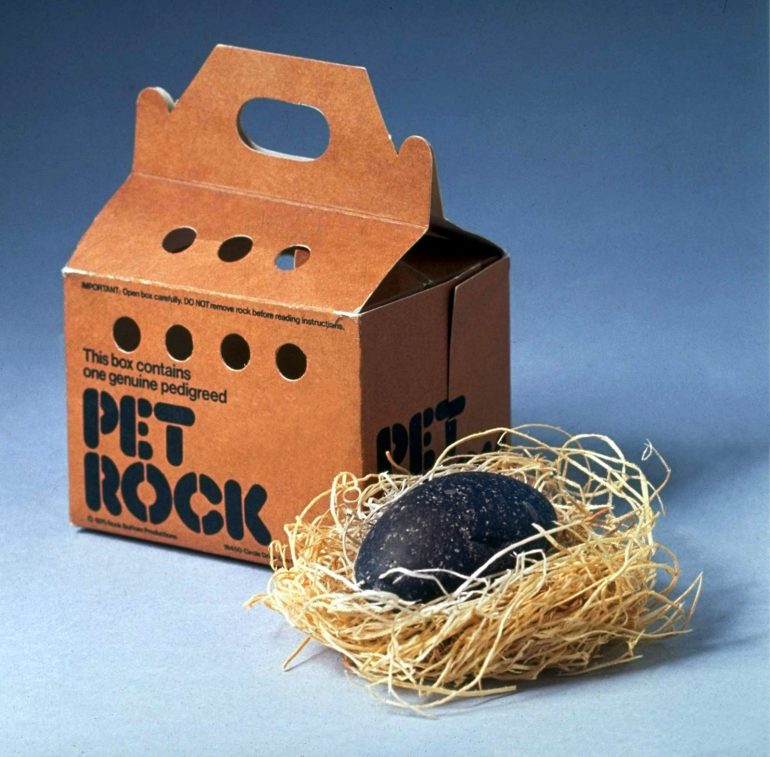 Pet Rock history: See vintage rocks, care instructions & more about the ...