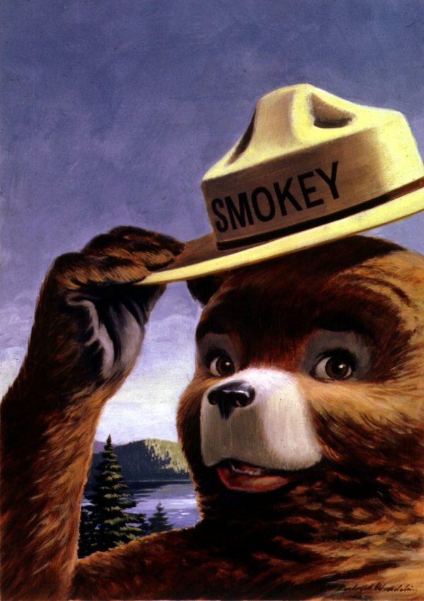 The fascinating story of Smokey Bear, and how only YOU could prevent ...