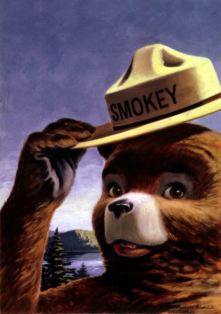 The fascinating story of Smokey Bear, and how only YOU could prevent ...