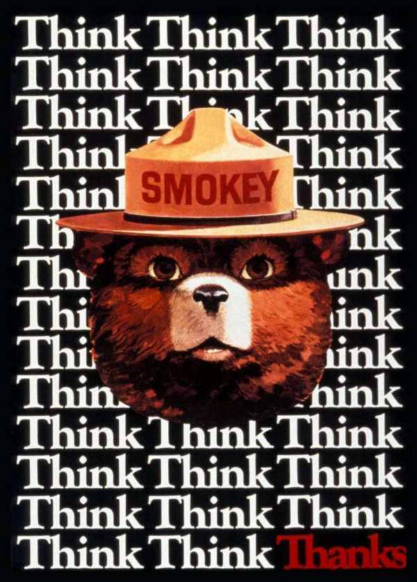 The fascinating story of Smokey Bear, and how only YOU could prevent ...