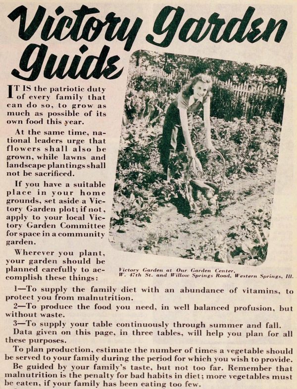 WWII Victory gardens from the 1940s: How people planted them, and how ...