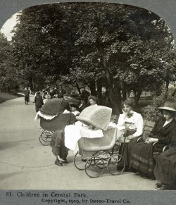 See how different antique baby carriages & old-fashioned strollers used ...
