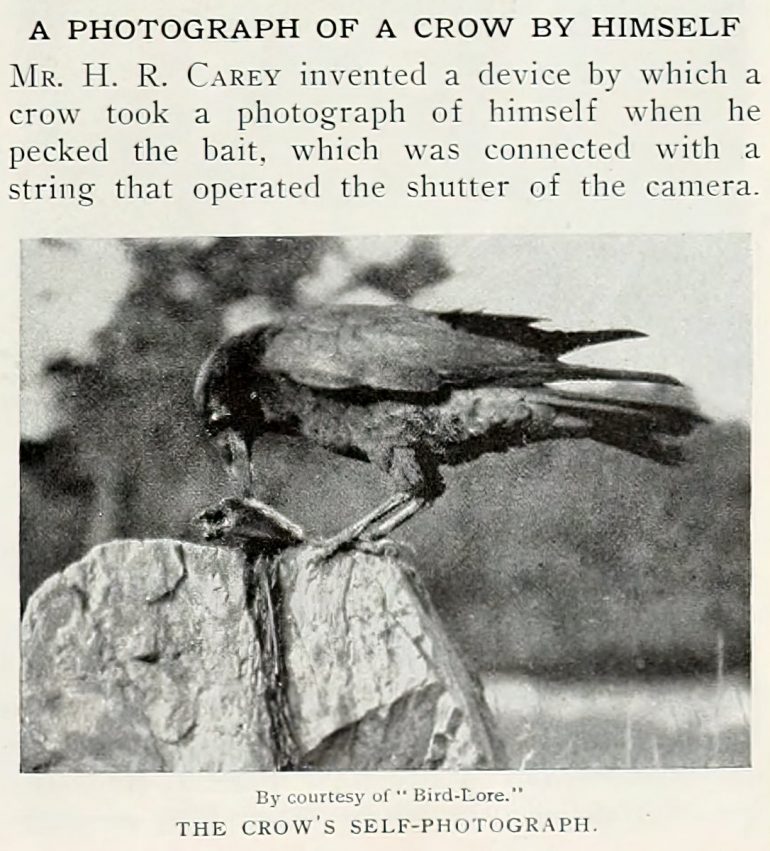 32 fascinating vintage selfies you probably have never seen - Click ...