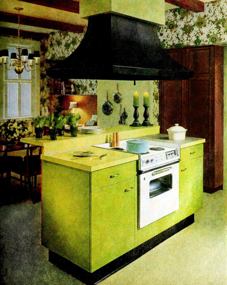The Tappan Gallery Gas Range: Trendy retro kitchen appliances with ...