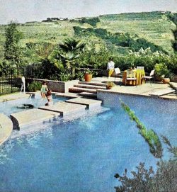 52 beautiful vintage in-ground swimming pool designs - Click Americana