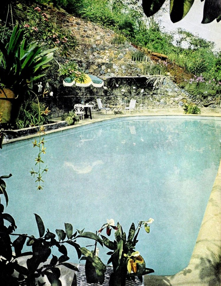 52 beautiful vintage in-ground swimming pools - Click Americana