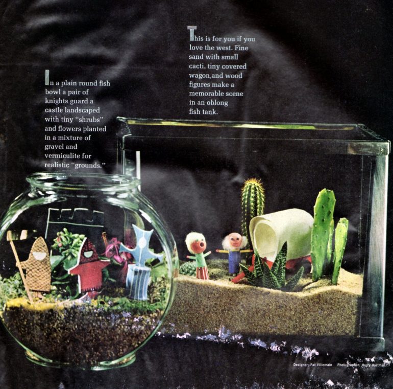 How to make a terrarium: Tiny indoor gardens under glass or plastic ...
