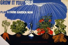 WWII Victory gardens from the 1940s: How people planted them, and how ...