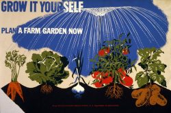 WWII Victory gardens from the 1940s: How people planted them, and how ...