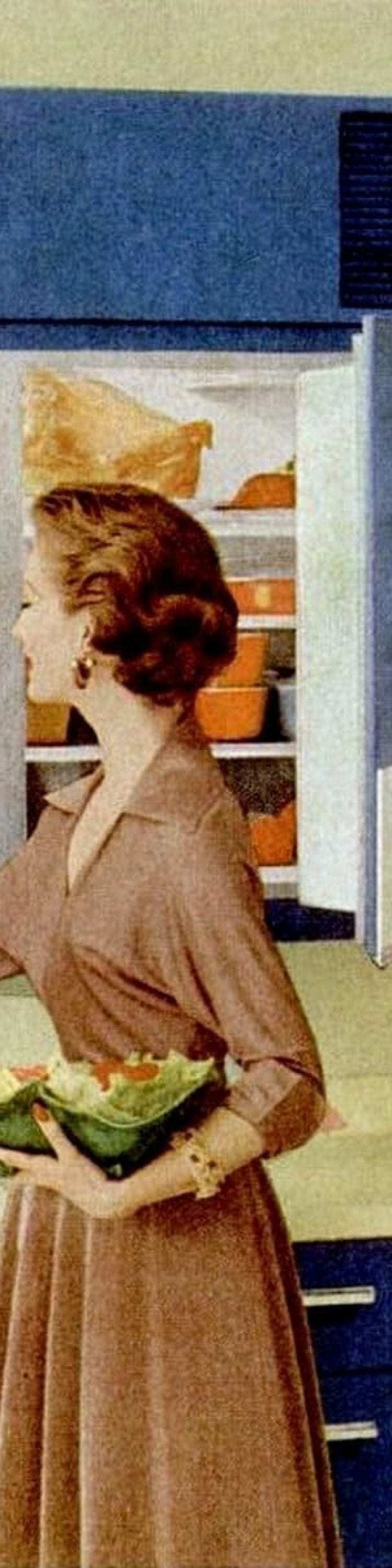 Forget kitchen cabinets - install a wall-mounted refrigerator! (Yes ...