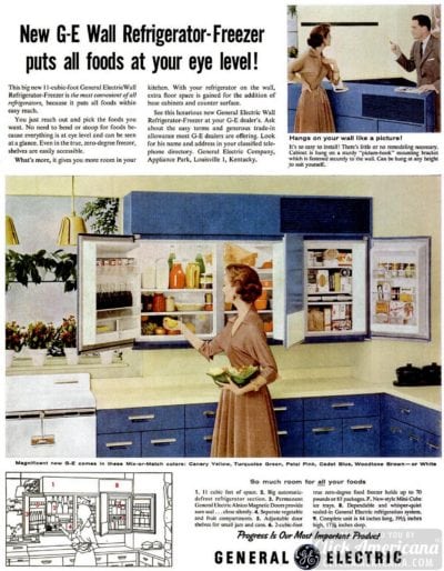 Forget kitchen cabinets - install a wall-mounted refrigerator! (Yes ...