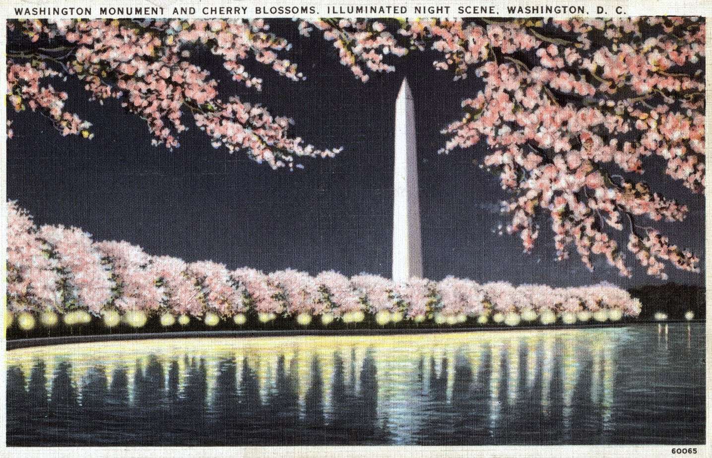 What Washington DC was like in the 1950s - Click Americana