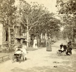 See how different antique baby carriages & old-fashioned strollers used ...