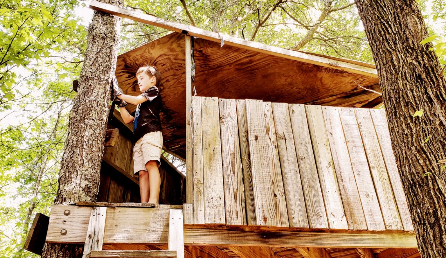 Old-fashioned treehouses: See 20 fun forts built up in the branches ...