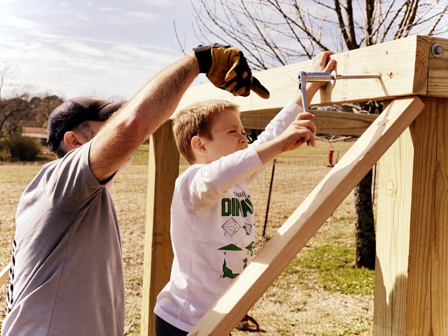 Old-fashioned treehouses: See 20 fun forts built up in the branches ...