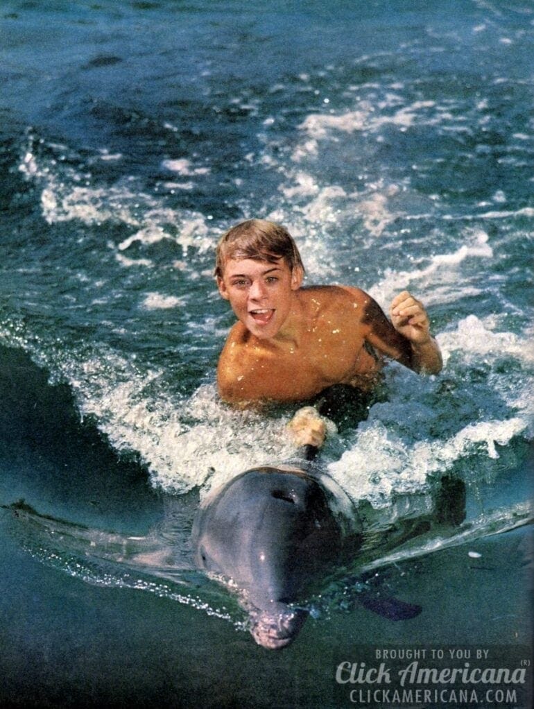 The Flipper movies & TV show turned an adorable dolphin into a ’60s pop ...