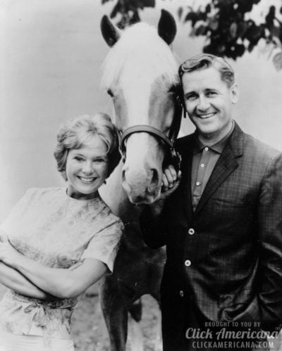About Mister Ed, the vintage TV show with the talking horse - plus the ...