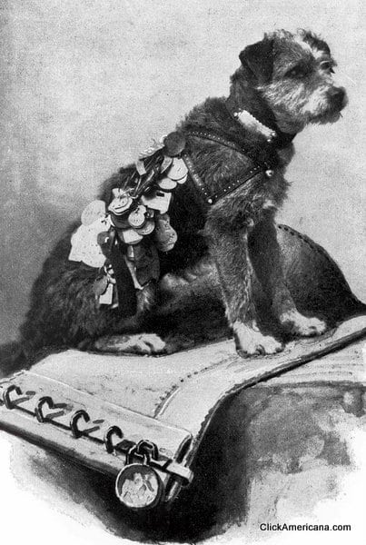 Owney: True tales of the postal dog (1894) - Click Americana