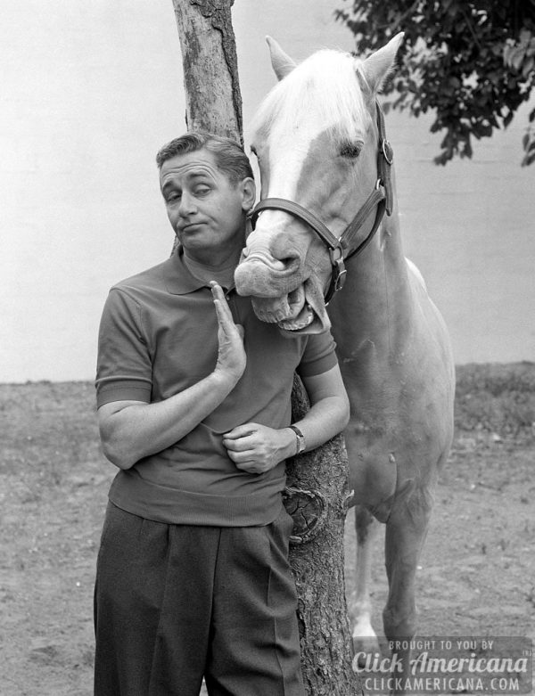 About Mister Ed, the vintage TV show with the talking horse - plus the ...