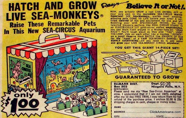 Amazing live Sea Monkeys (1978) - Click Americana