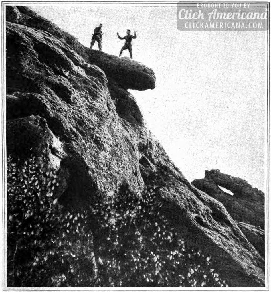 Crazy silent movie stunts from the 1920s that were wild & dangerous ...