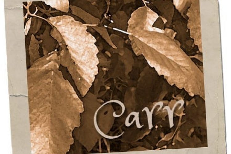 The story of the last name Carr (1920) - Click Americana