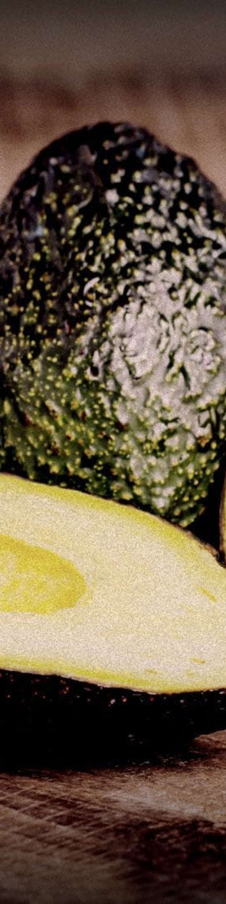 A brief history of avocados (or 'alligator pears') & 14 vintage avocado ...