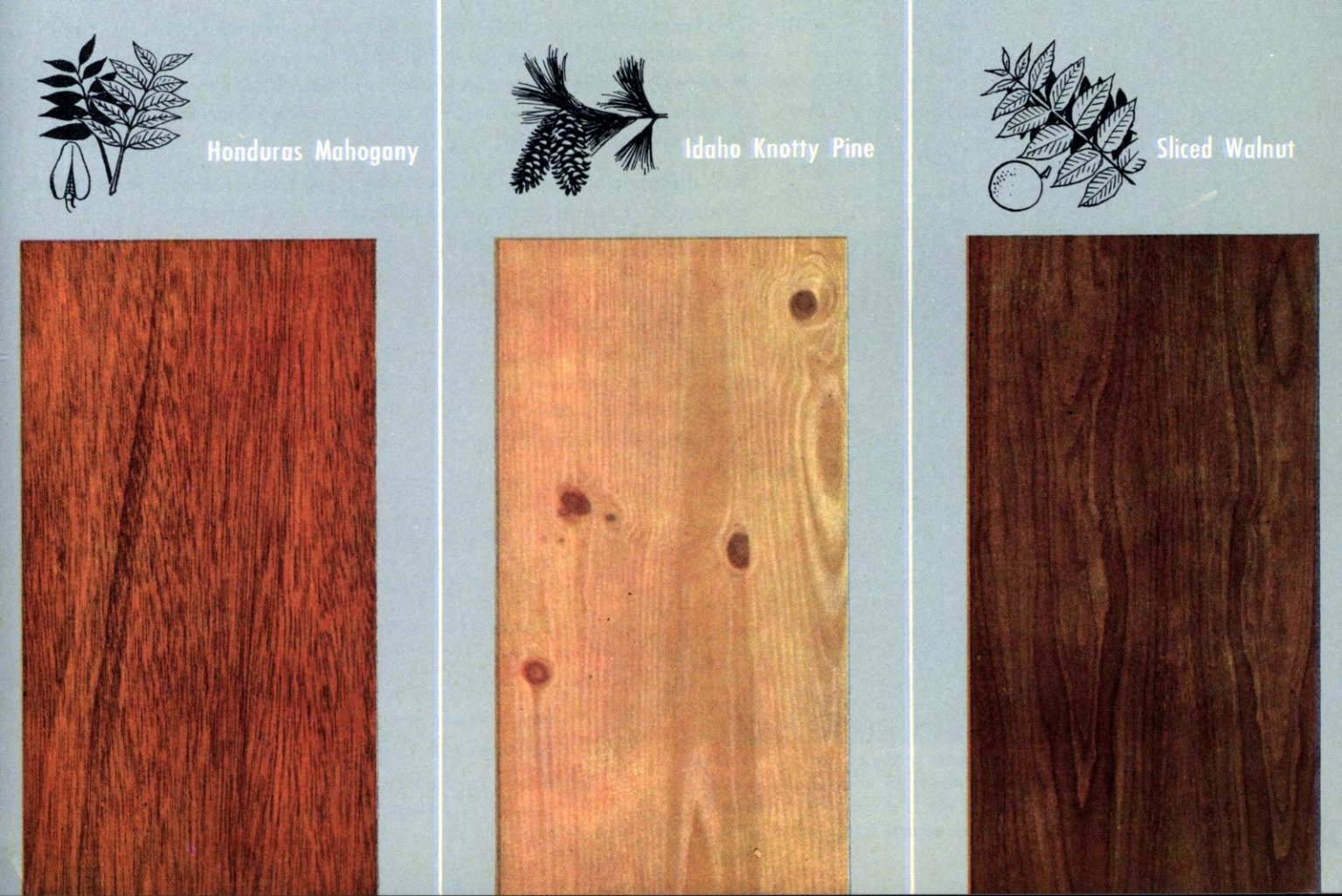 The vintage wall paneling in these 1950s & 1960s homes still works ...